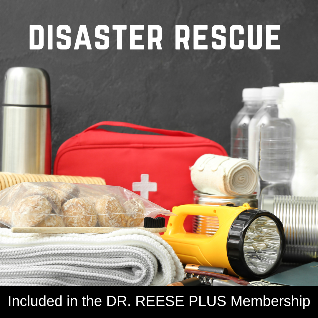 Disaster Rescue